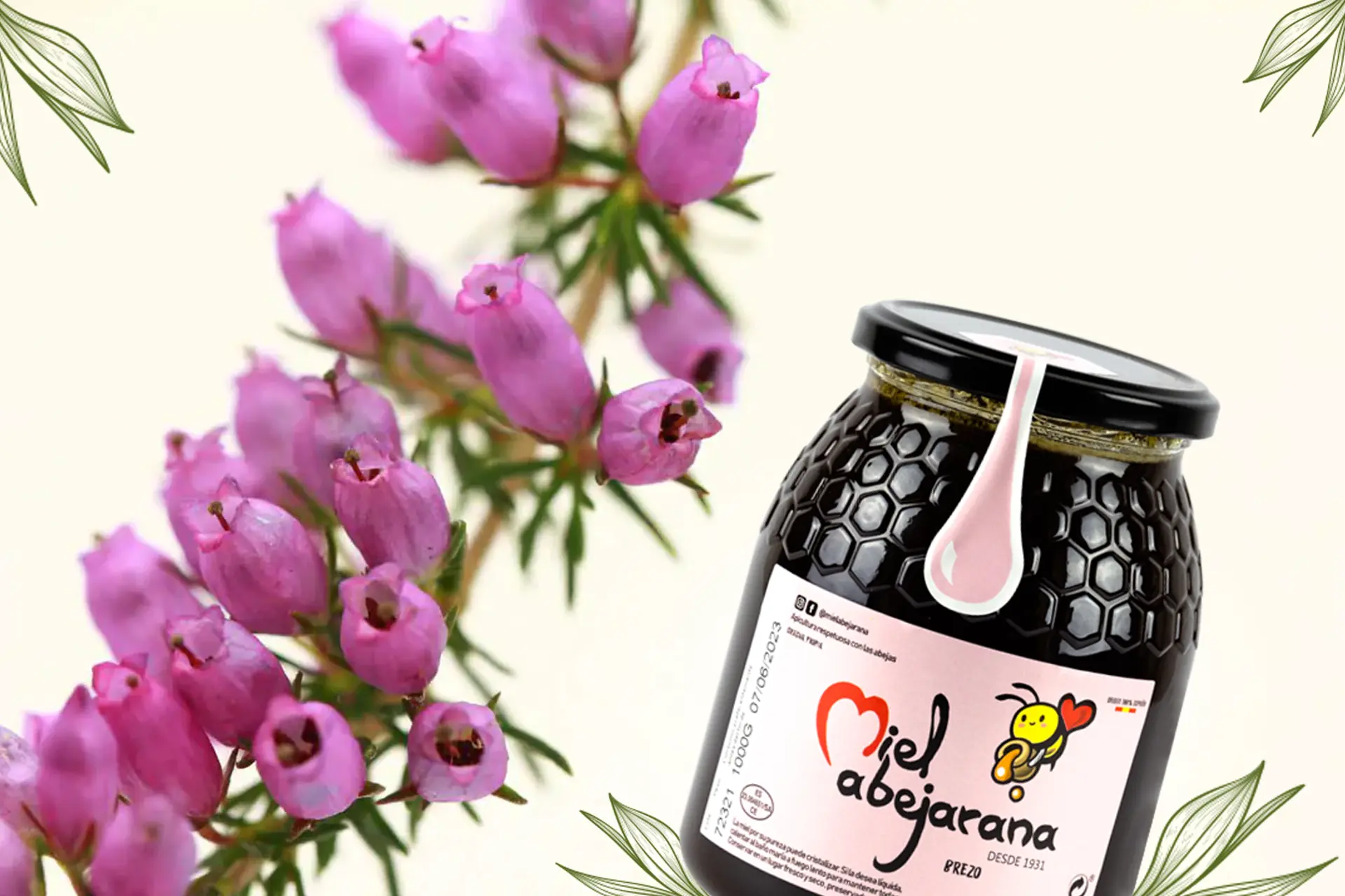 Miel de Brezo Propiedades y Beneficios | Incorpórala en tu dieta